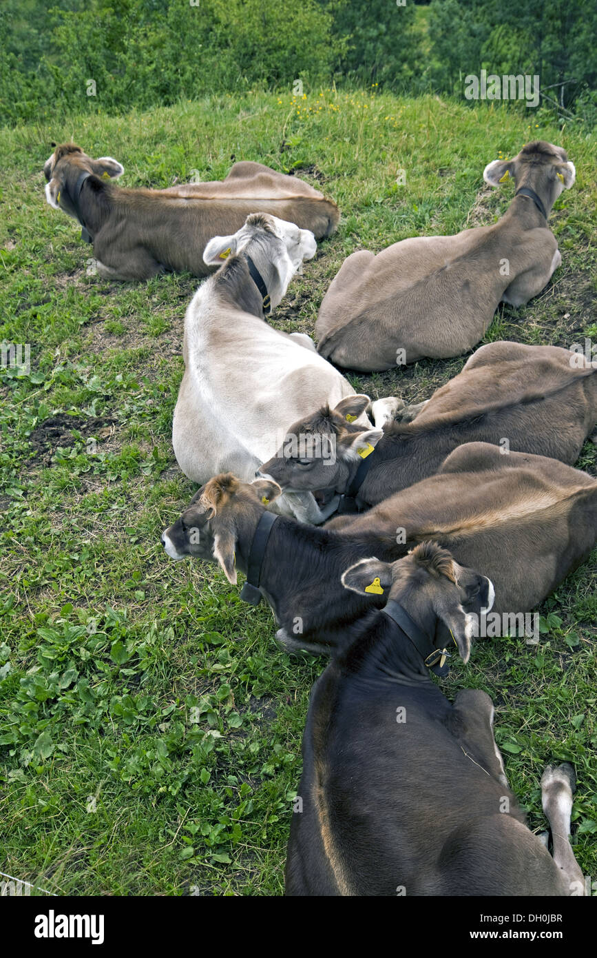 Bulle switzerland hi-res stock photography and images - Alamy