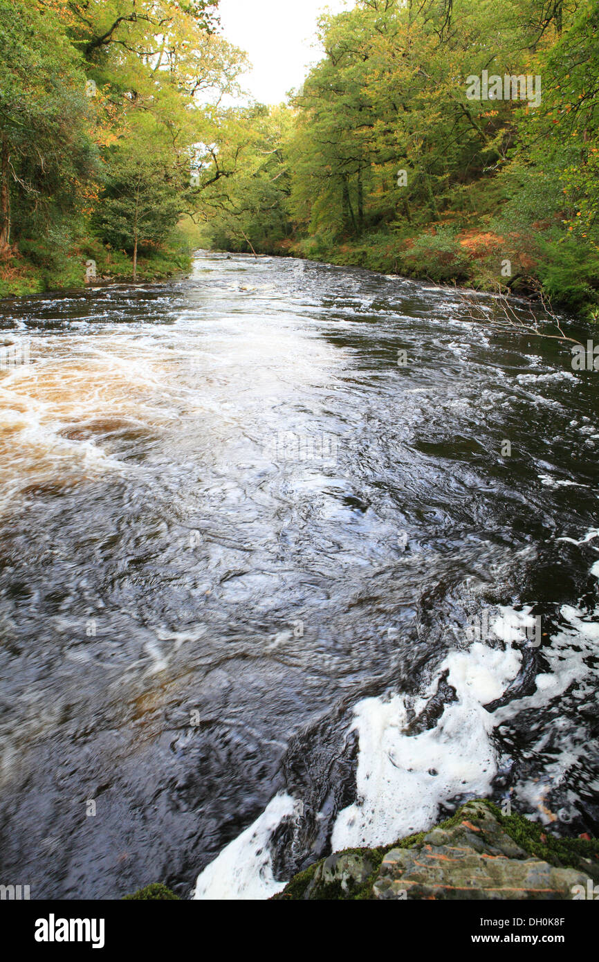Dart holne autumn river granite rocks hi-res stock photography and ...