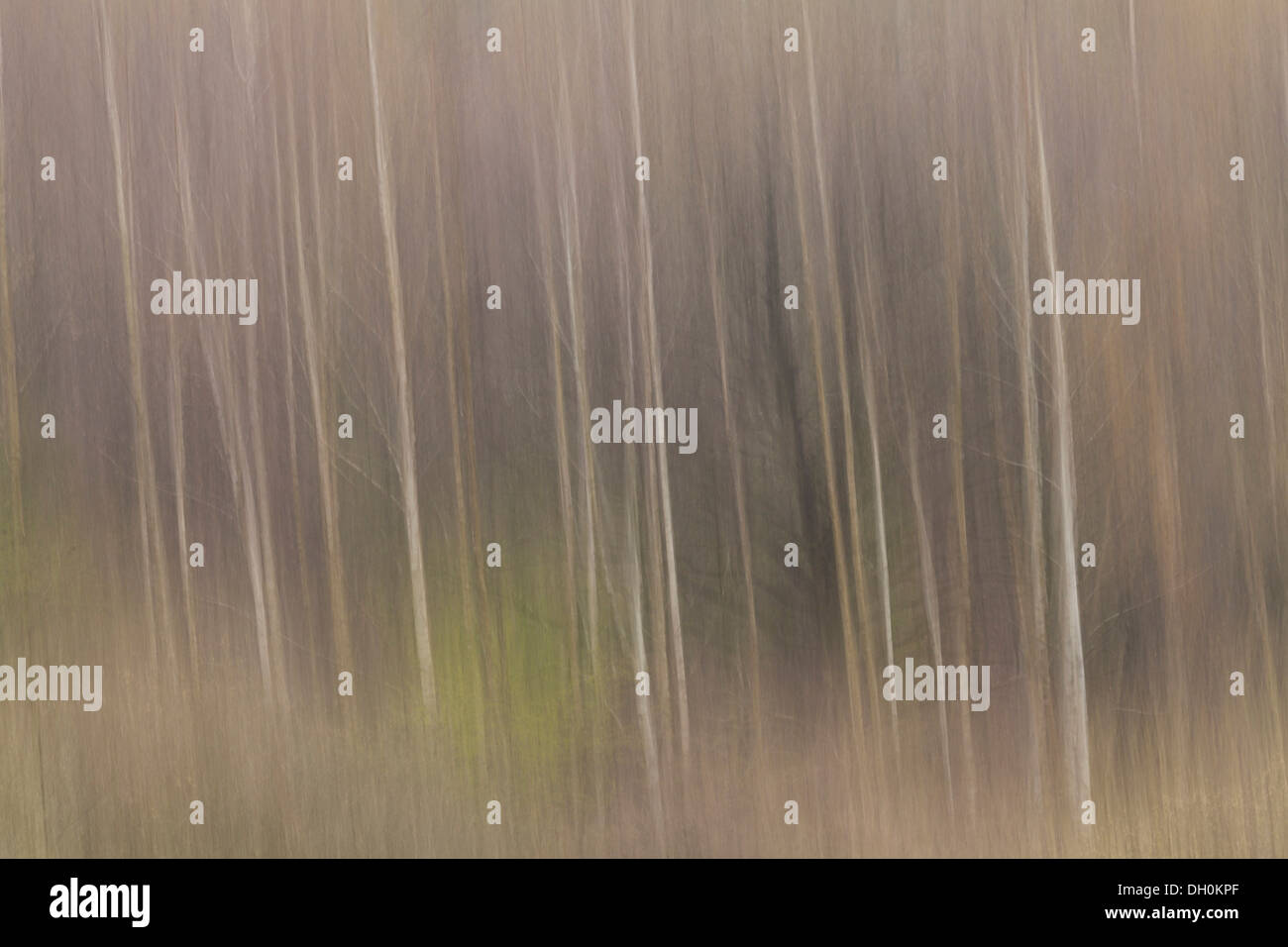 Donche hi-res stock photography and images - Alamy