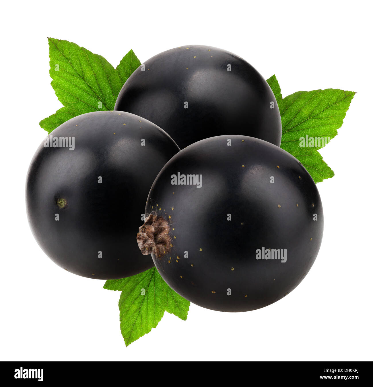 Vibrant black Cut Out Stock Images & Pictures - Alamy