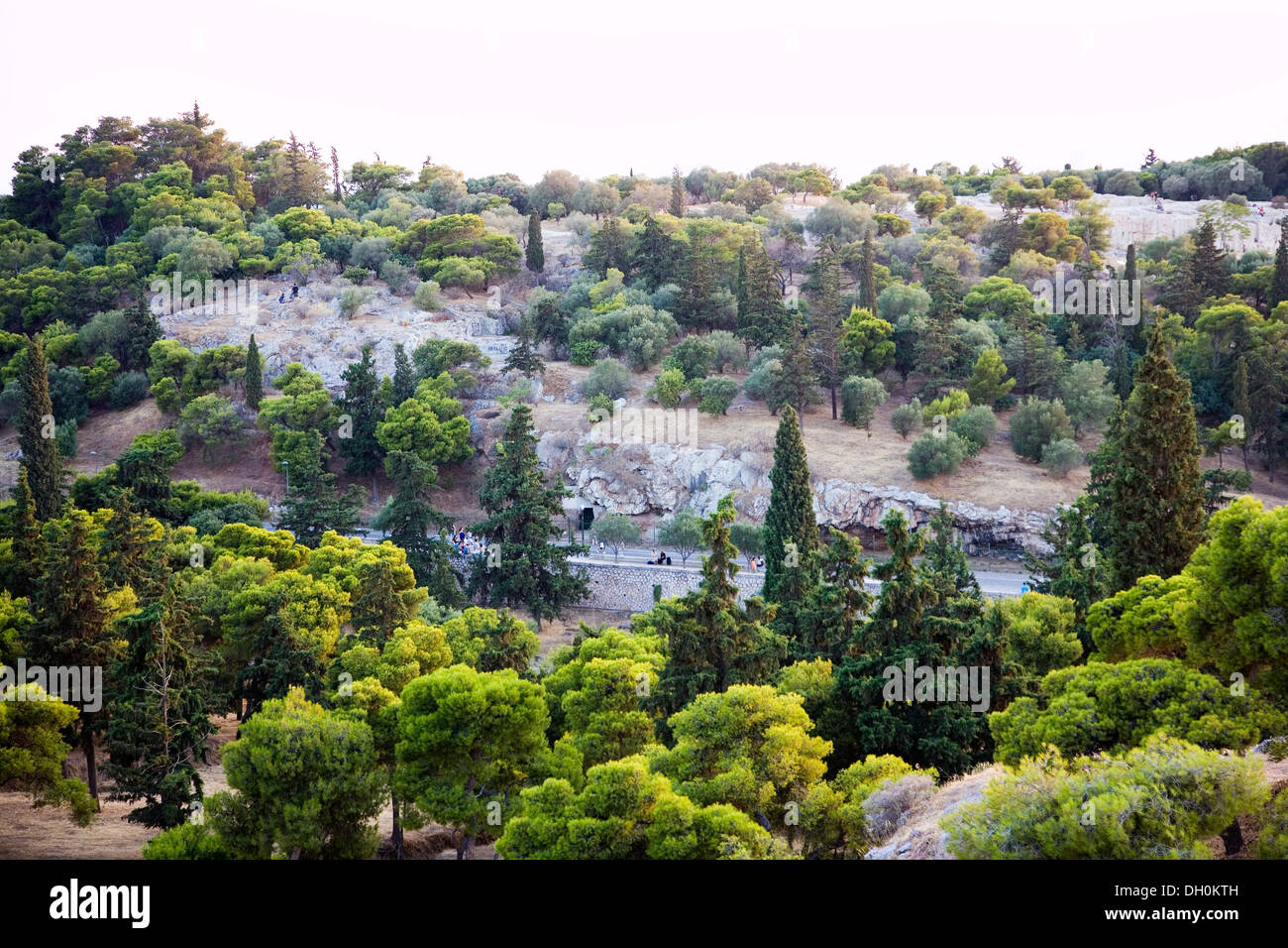 Vegetation Green Greece High Resolution Stock Photography and Images ...