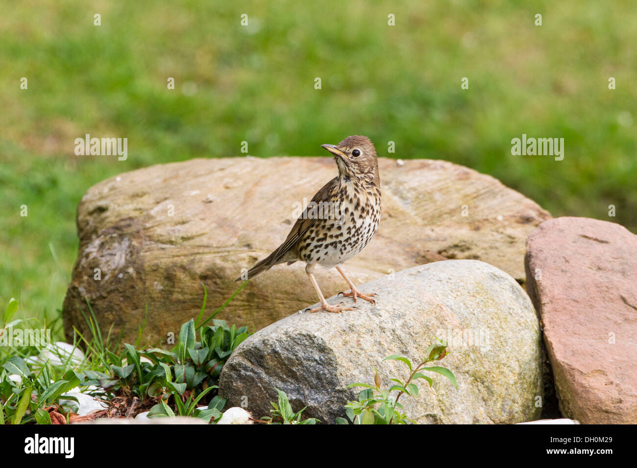 Melos hi-res stock photography and images - Alamy