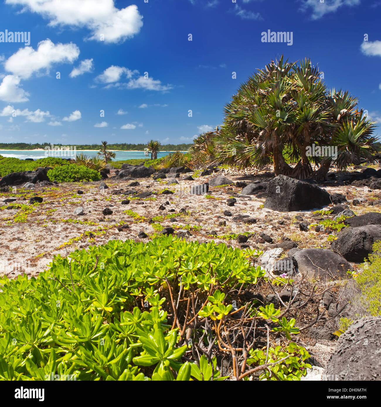 Mauritius. Stony landscape. Island Gabriel Stock Photo - Alamy