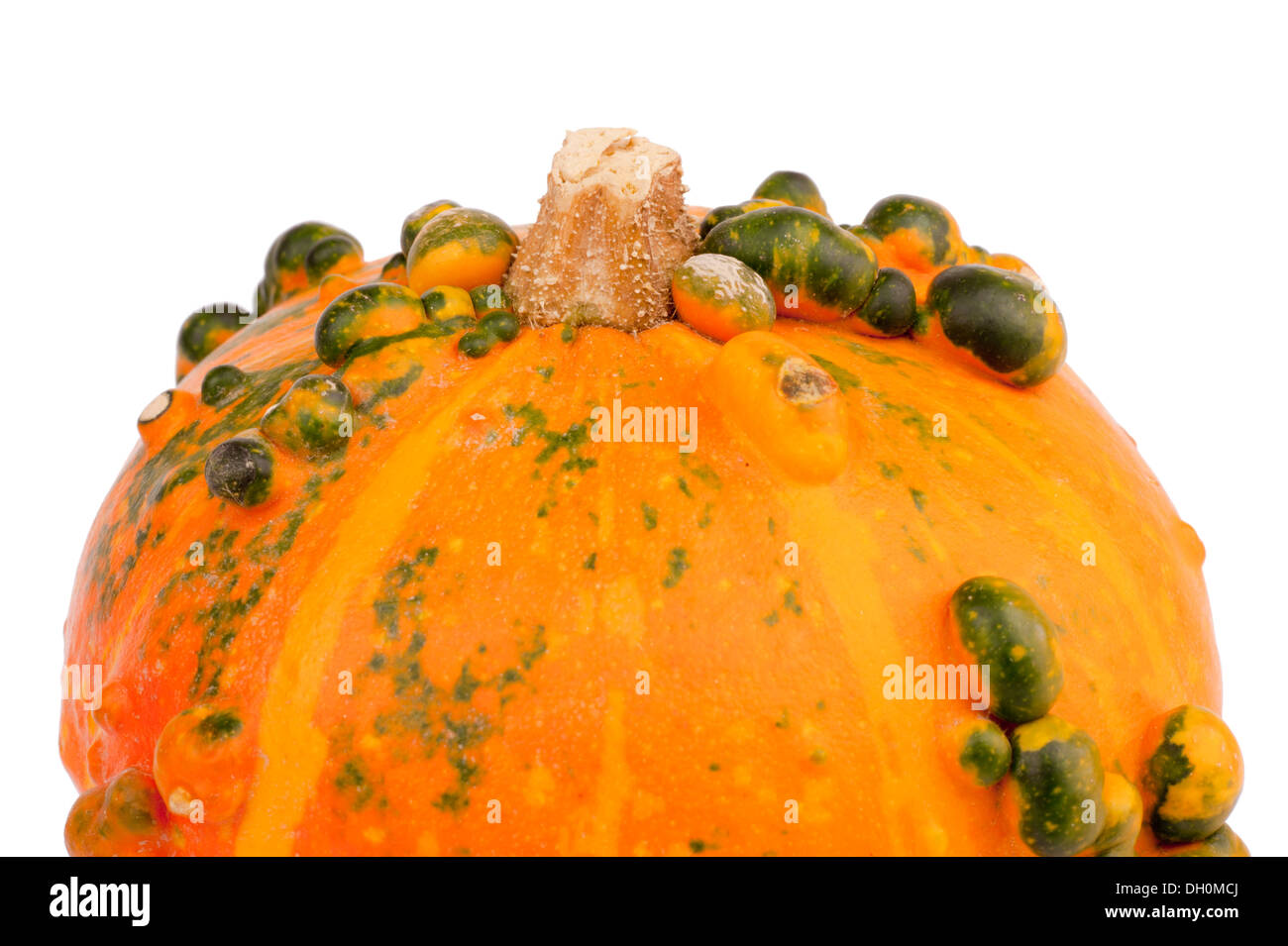 Orange yellow calabash gourd chinese lantern with green bulbs isolated ...