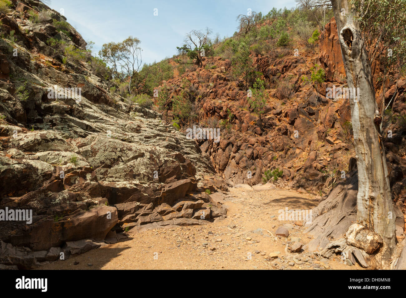 View in Sacred Canyon, near Wilpena, South Australia, Australia Stock ...
