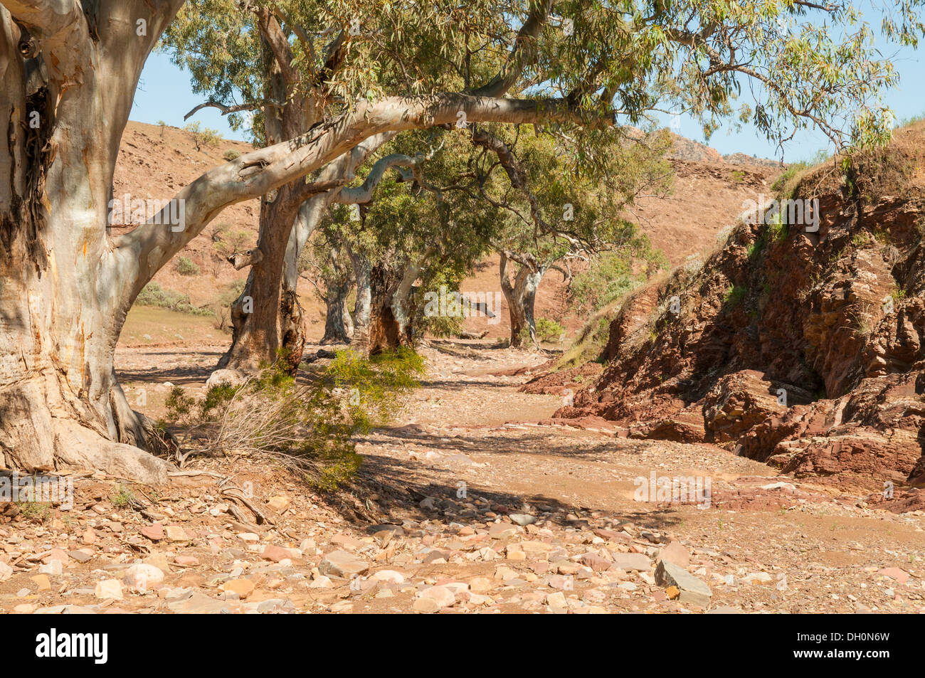 Brachina gorge hi-res stock photography and images - Alamy