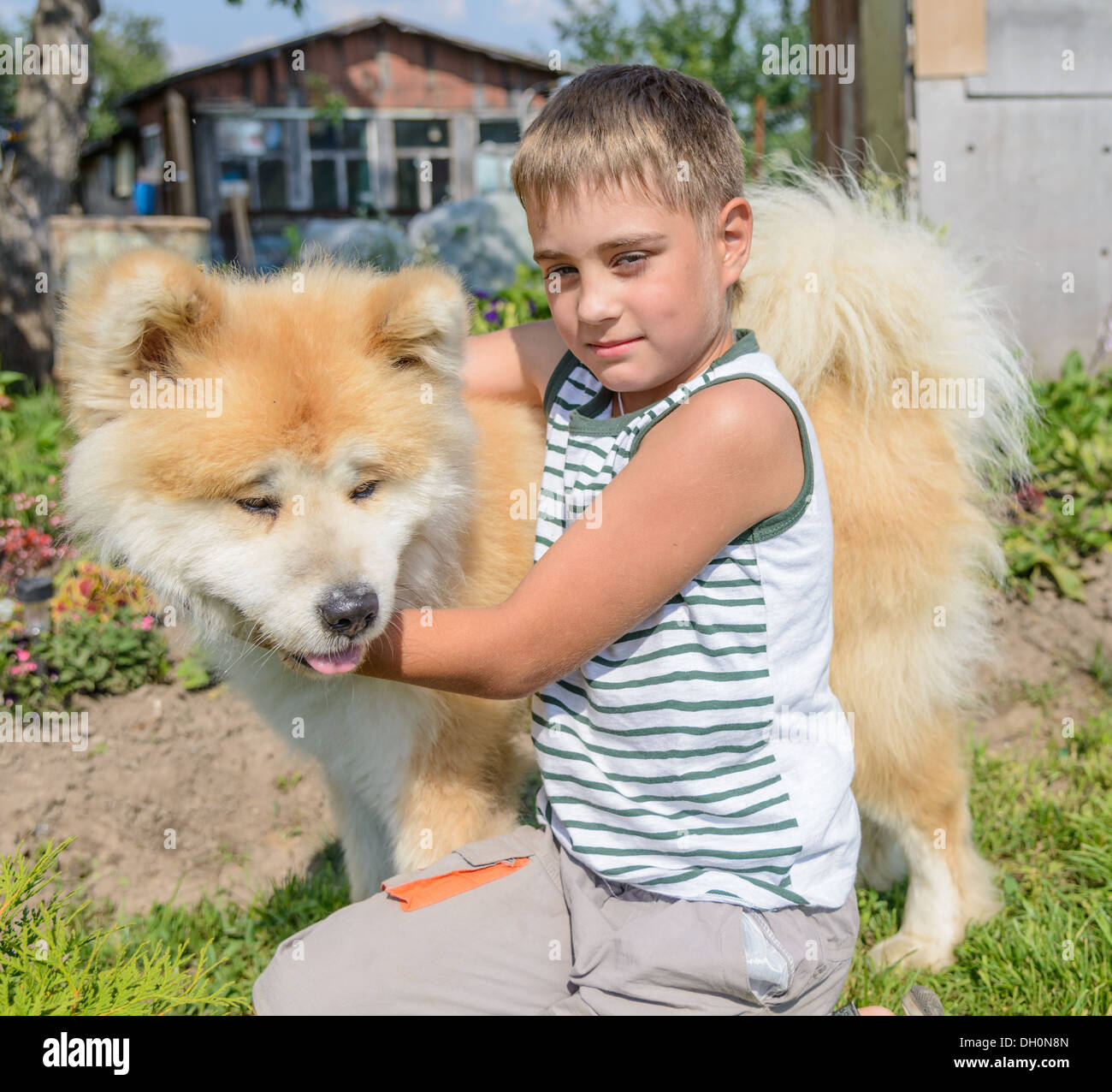 a boy with a dog Stock Photo - Alamy