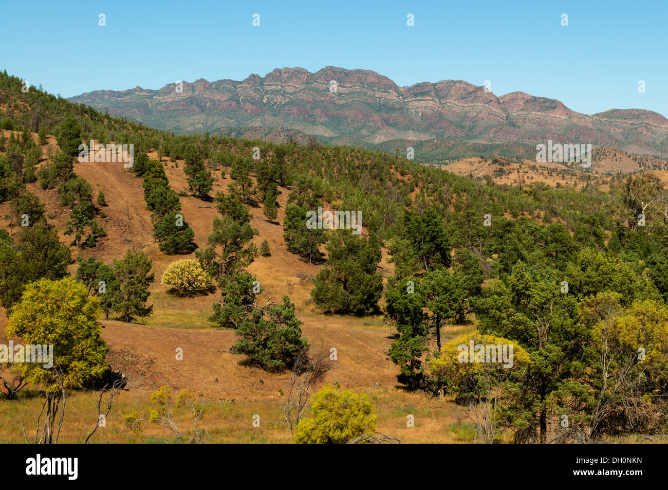 Red Range from Black Gap Lookout, Flinders Range, South Australia ...