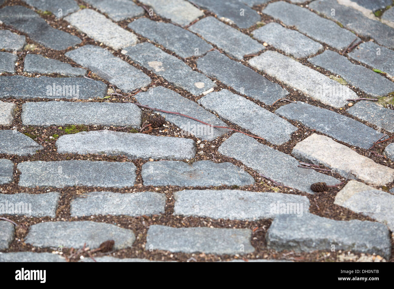 Grey cobbles hi-res stock photography and images - Alamy