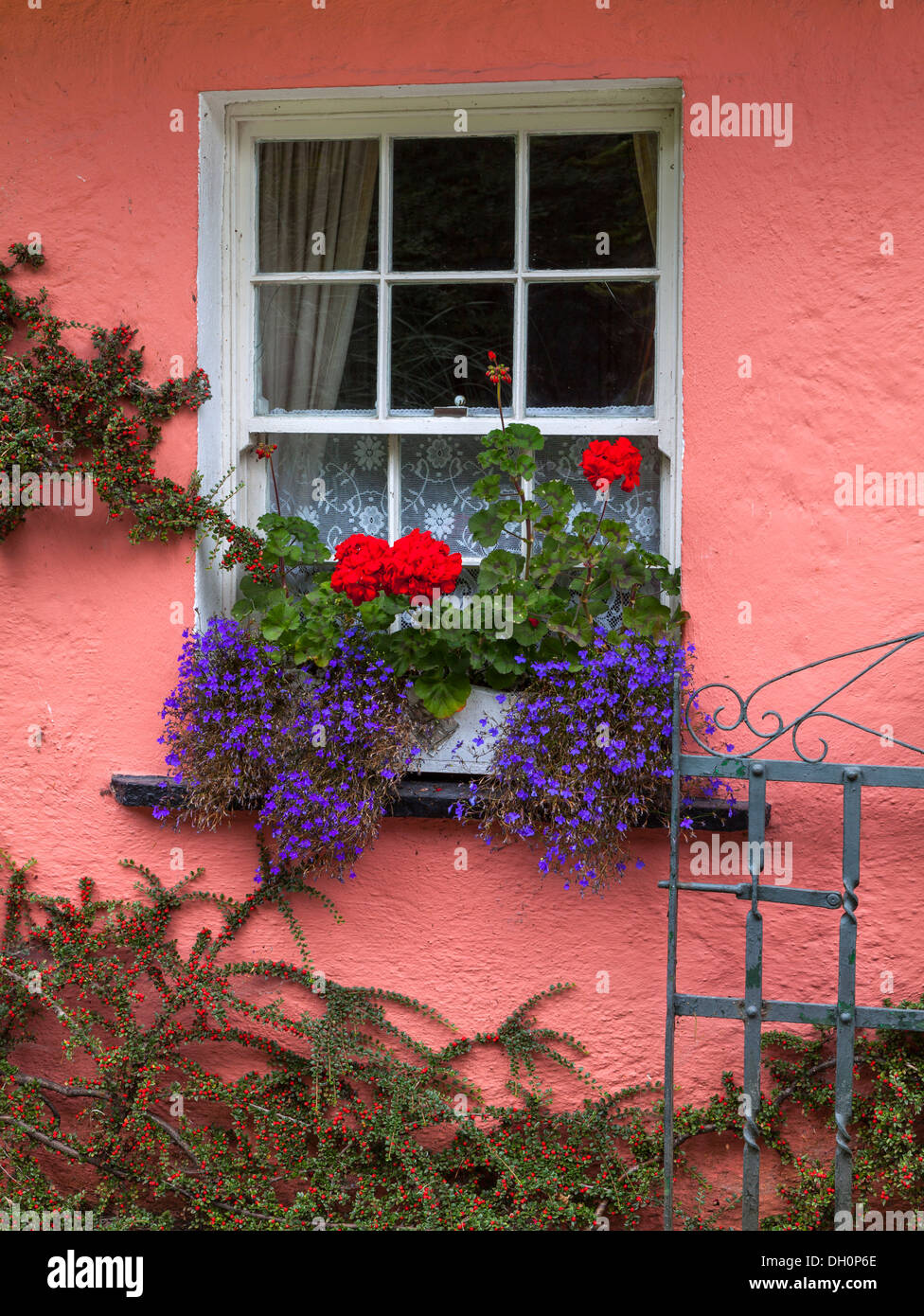 County Clare, Ireland: Bunratty Folk Park, colorful farmhouse wall with ...