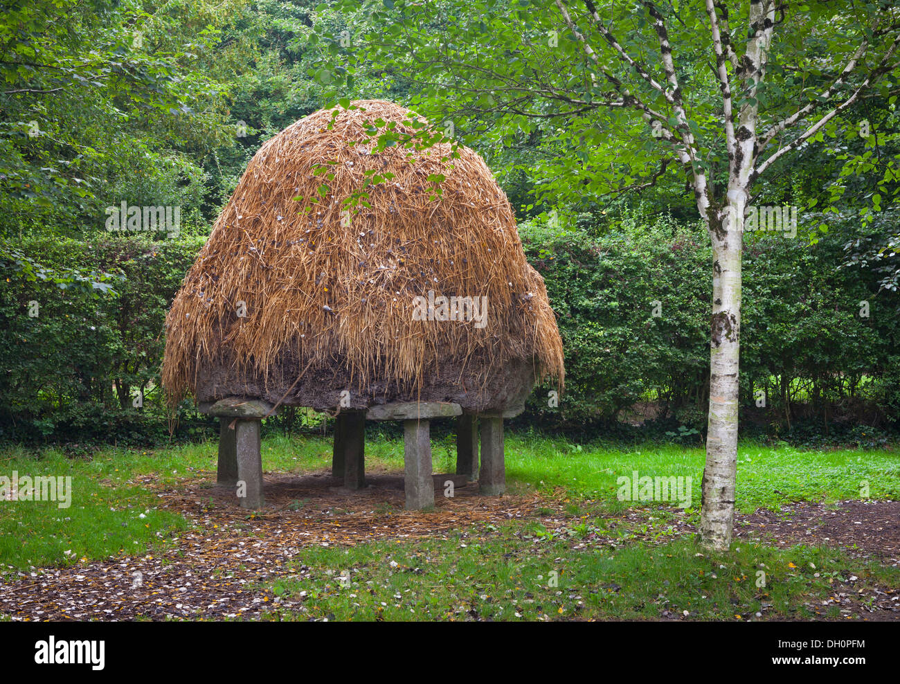 County Clare, Ireland: Hay stack on piled up on stone pedestals ...