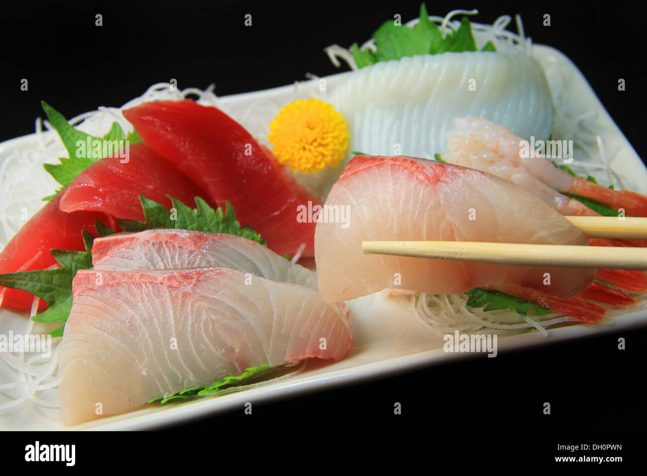 Young yellowtail tuna hi-res stock photography and images - Alamy