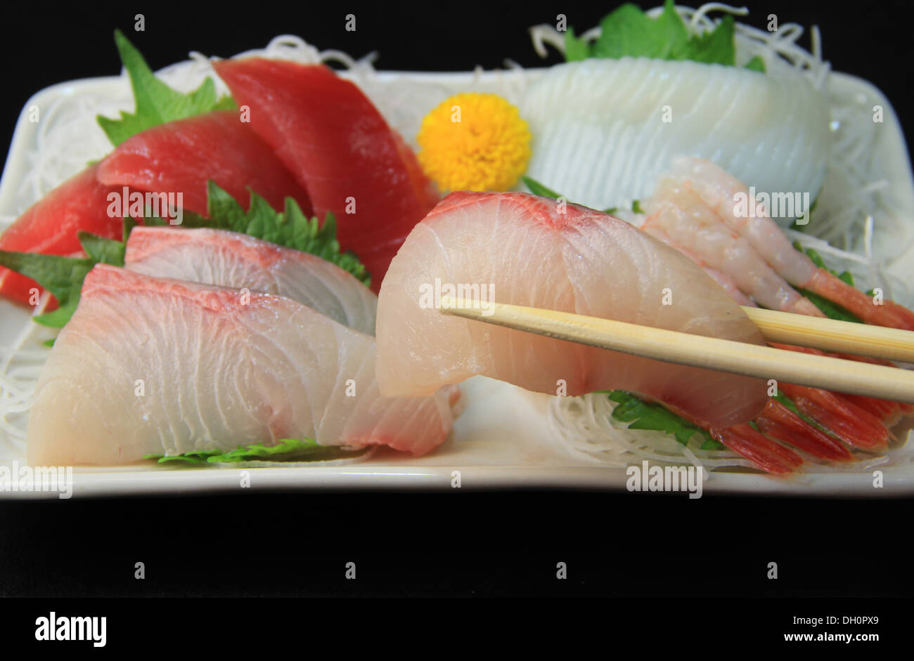 Young yellowtail tuna hi-res stock photography and images - Alamy