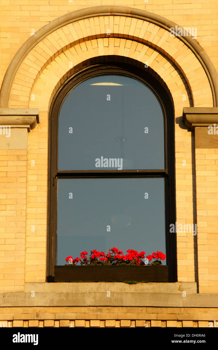 Red geraniums window box hi-res stock photography and images - Alamy