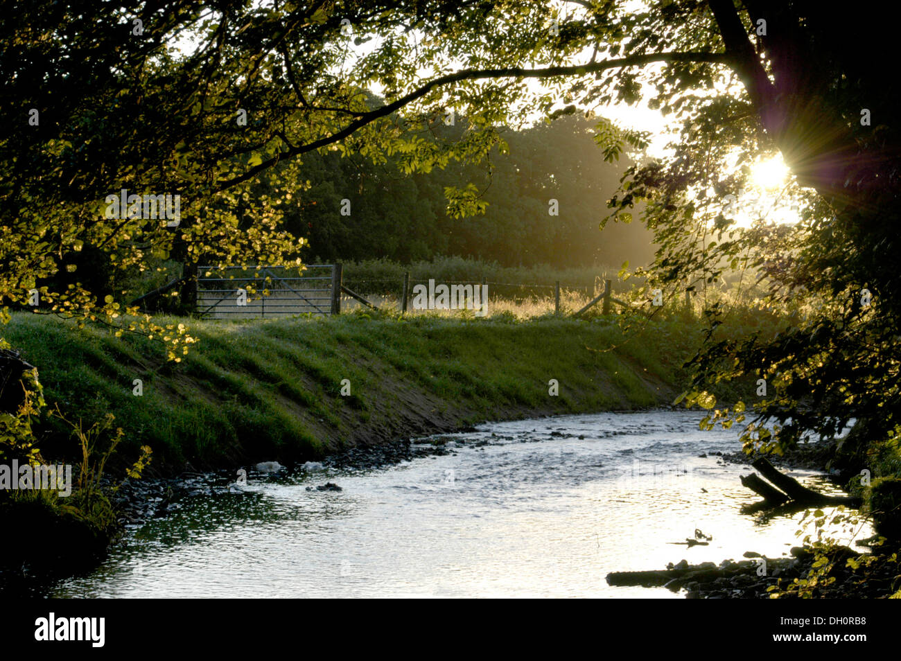 The River Taw at North Wyke after the removal of a weir to improve fish ...