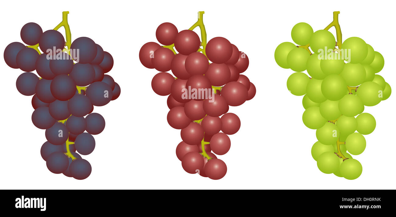 Grapes of different grades Stock Photo - Alamy