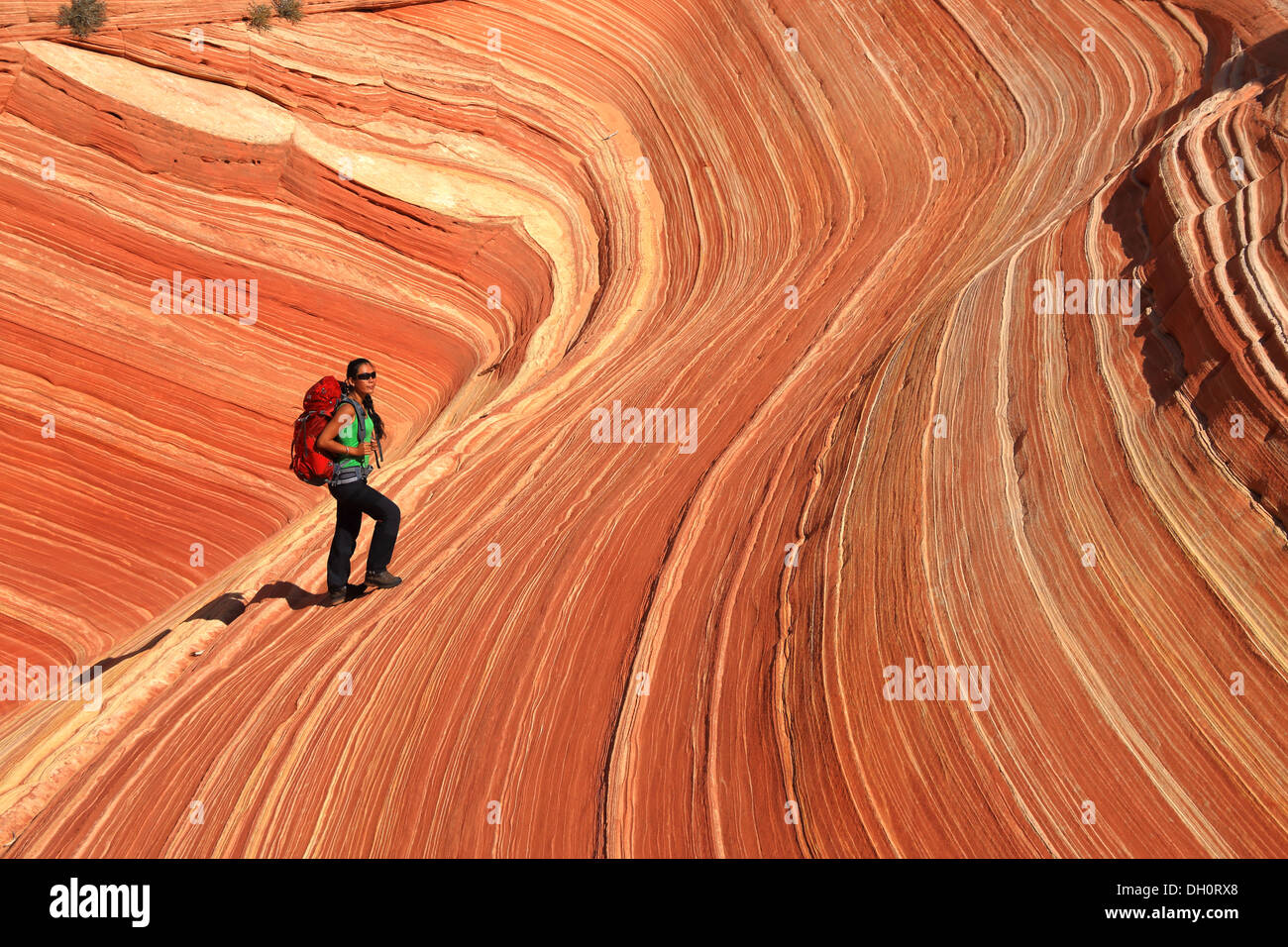 The amazing sandstone formations THE WAVE in northern Arizona, USA ...