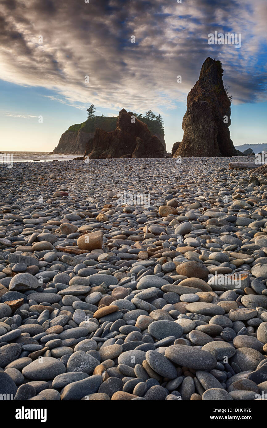 Sea stacks at Ruby Beach, Olympic Peninsula, Olympic National Park ...