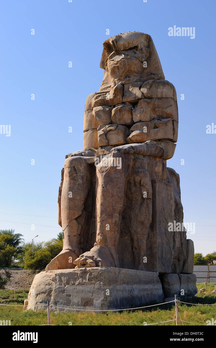 Statue of memnon luxor hi-res stock photography and images - Alamy