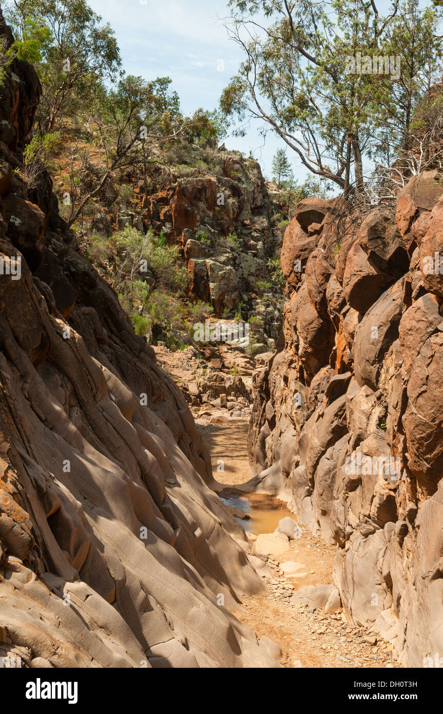 View in Sacred Canyon, near Wilpena, South Australia, Australia Stock ...