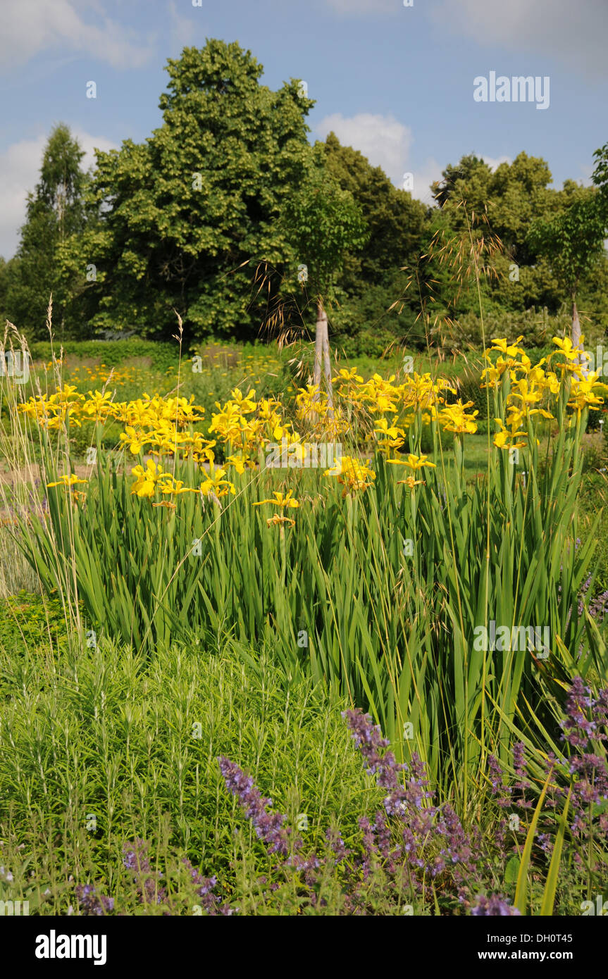 Golden flags hi-res stock photography and images - Alamy