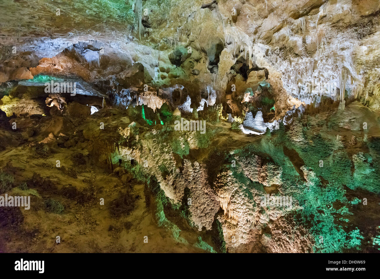 The Big Room cave in Carlsbad Caverns National Park, New Mexico, USA ...