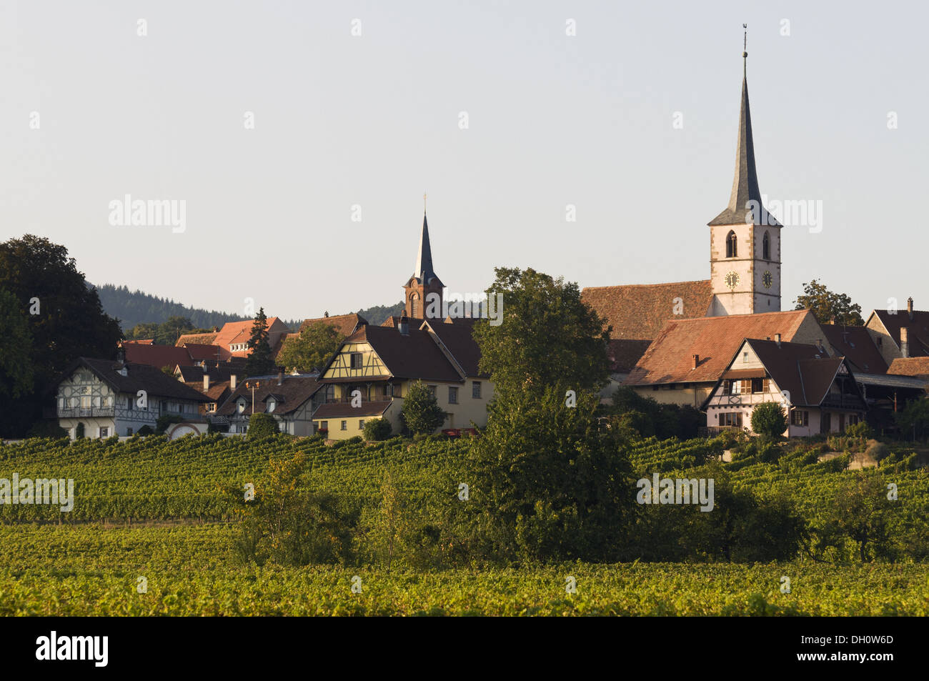 Elk213 1750 hi-res stock photography and images - Alamy