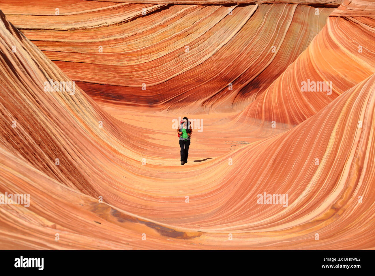 The amazing sandstone formations THE WAVE in northern Arizona, USA ...