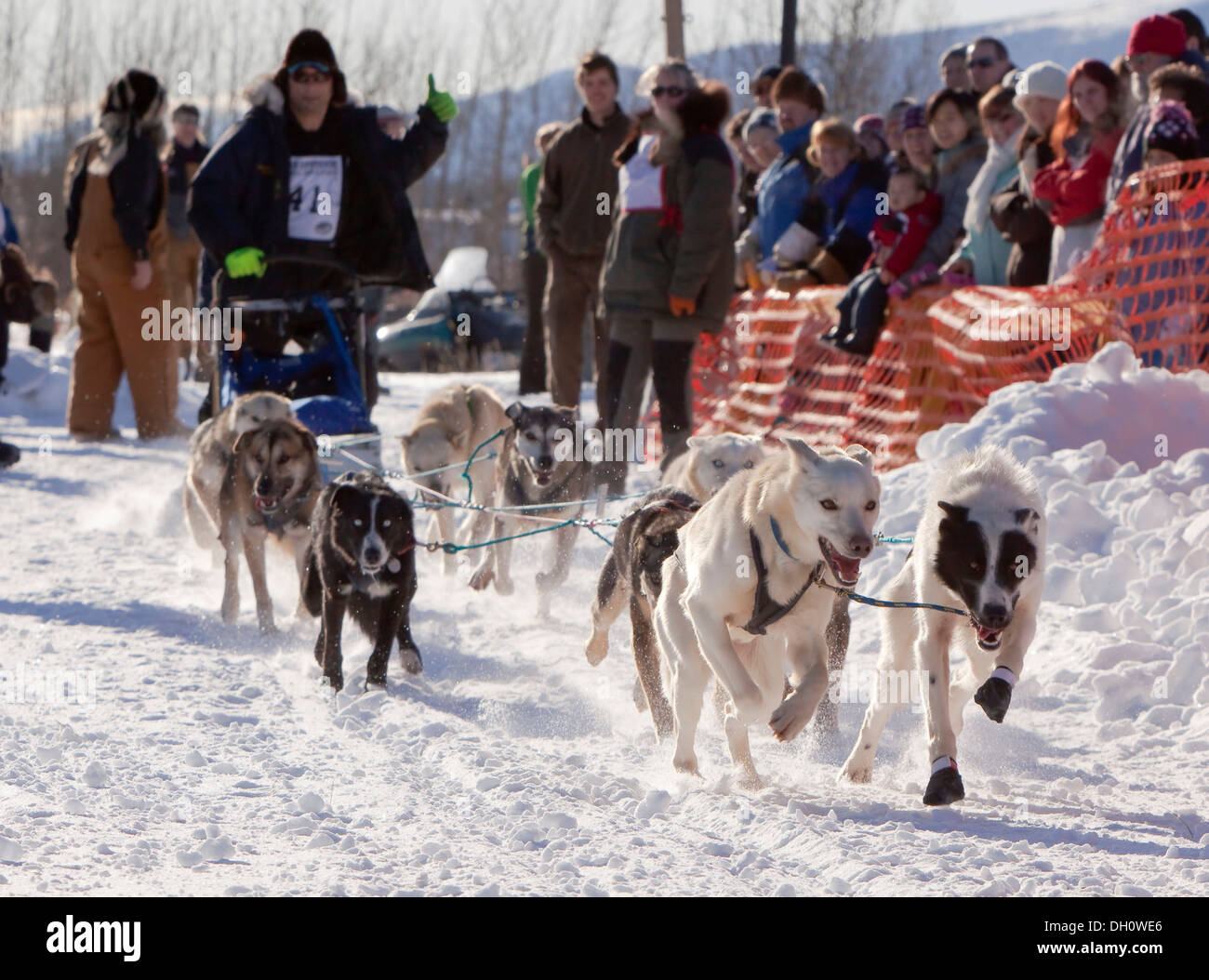 Teams yukon hi-res stock photography and images - Alamy