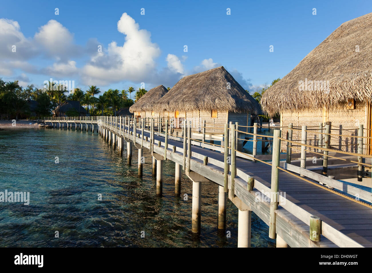 Seacoast with palm trees and small houses Stock Photo - Alamy