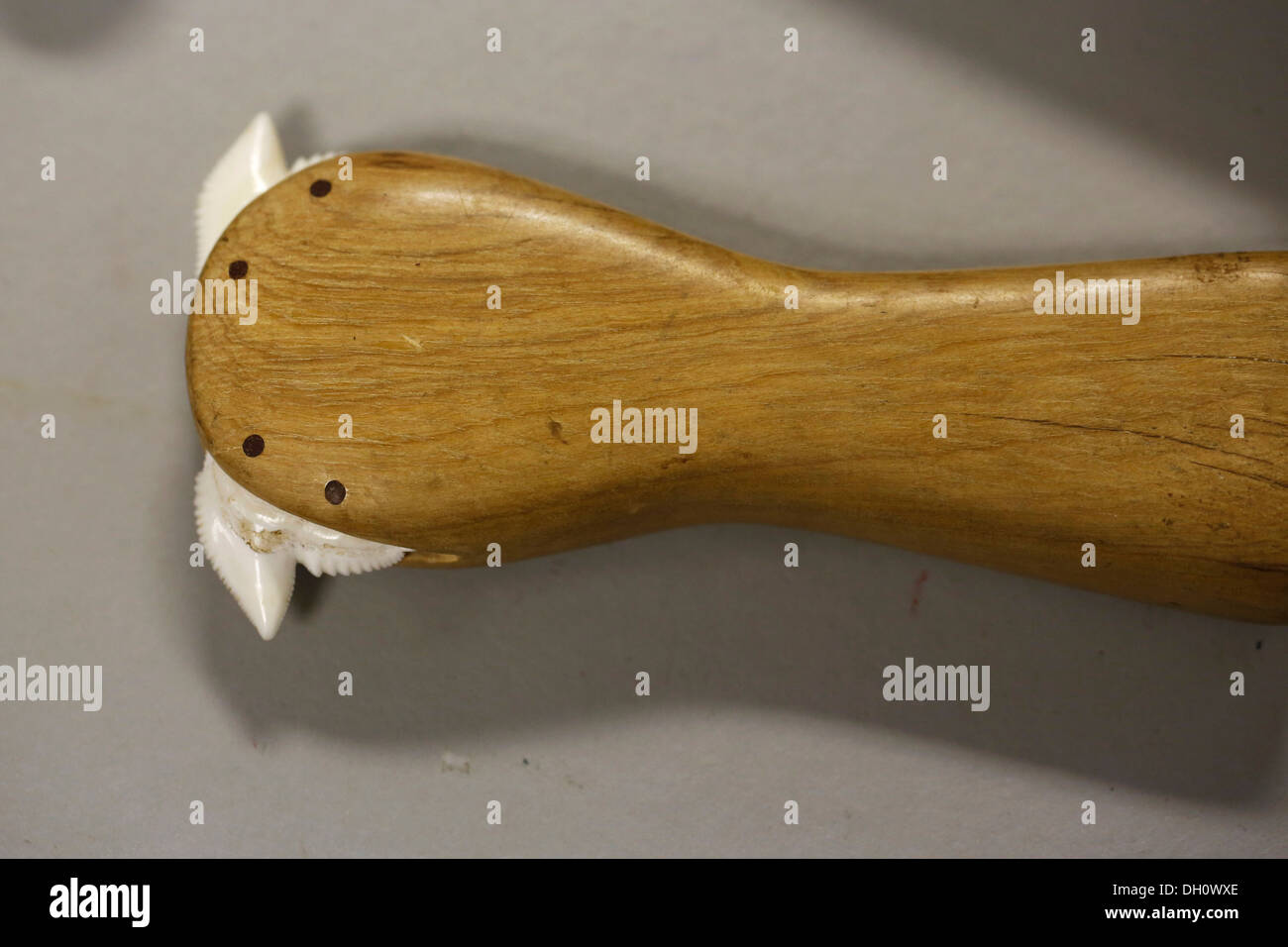 Hawaiian native tool produced from a shark's tooth, Big Island, Hawaii ...