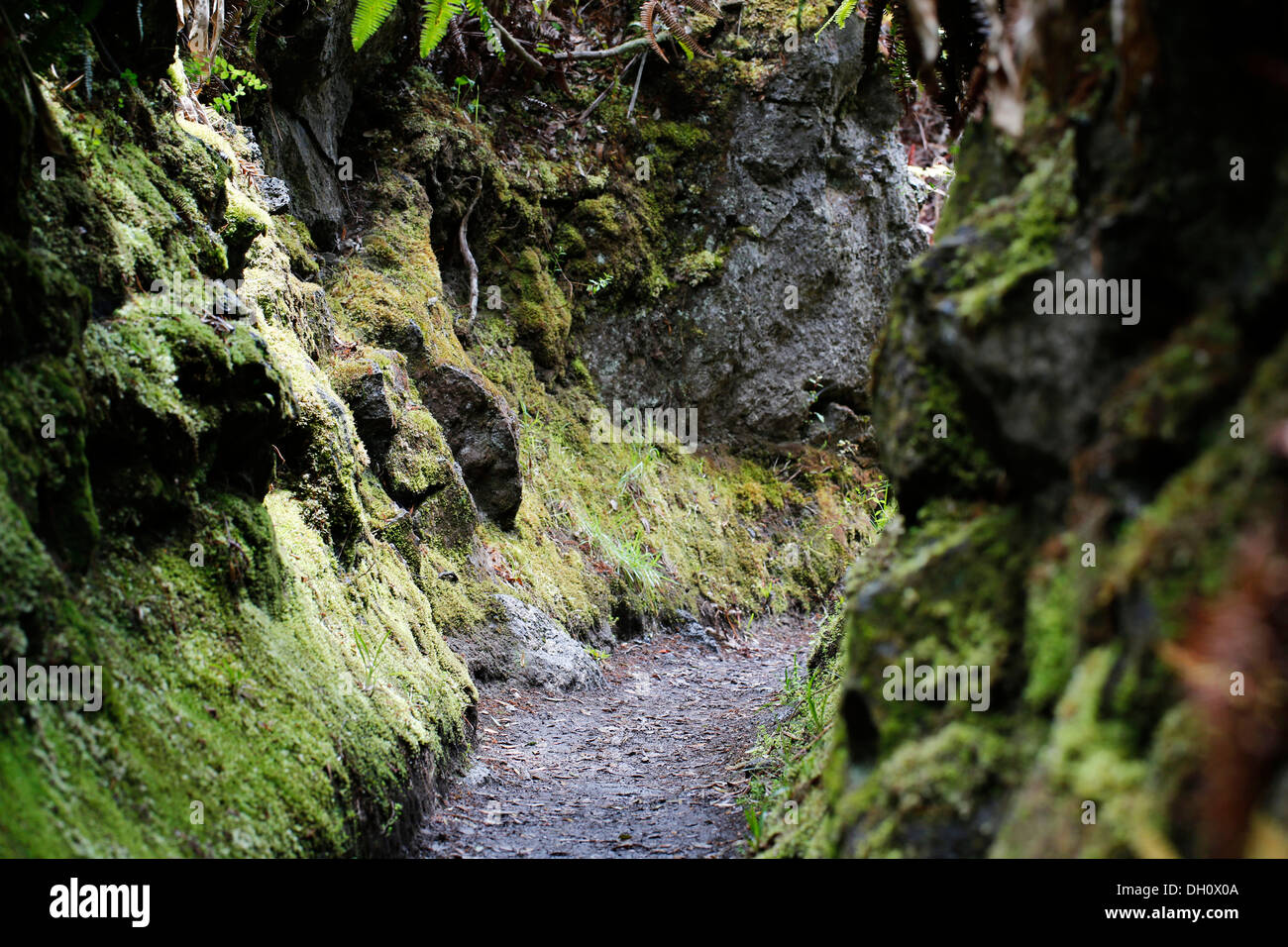 Caldera hiking trails hi-res stock photography and images - Alamy