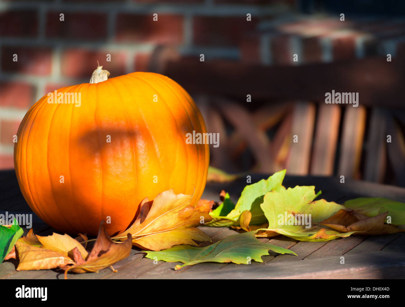 Ripe pumpkin on a wooden table in autumnal evening sun Stock Photo - Alamy