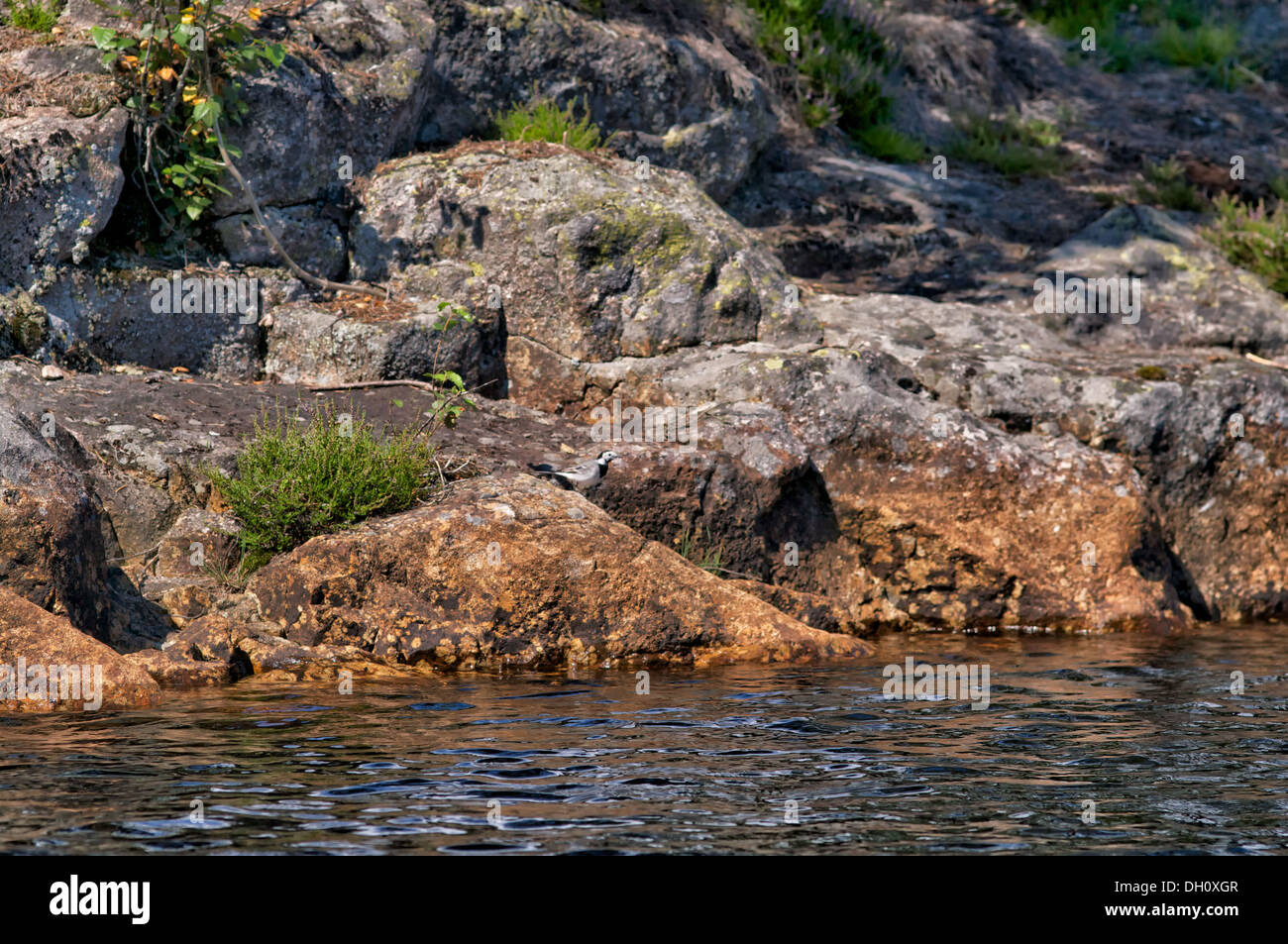 Norwegian stone hi-res stock photography and images - Alamy