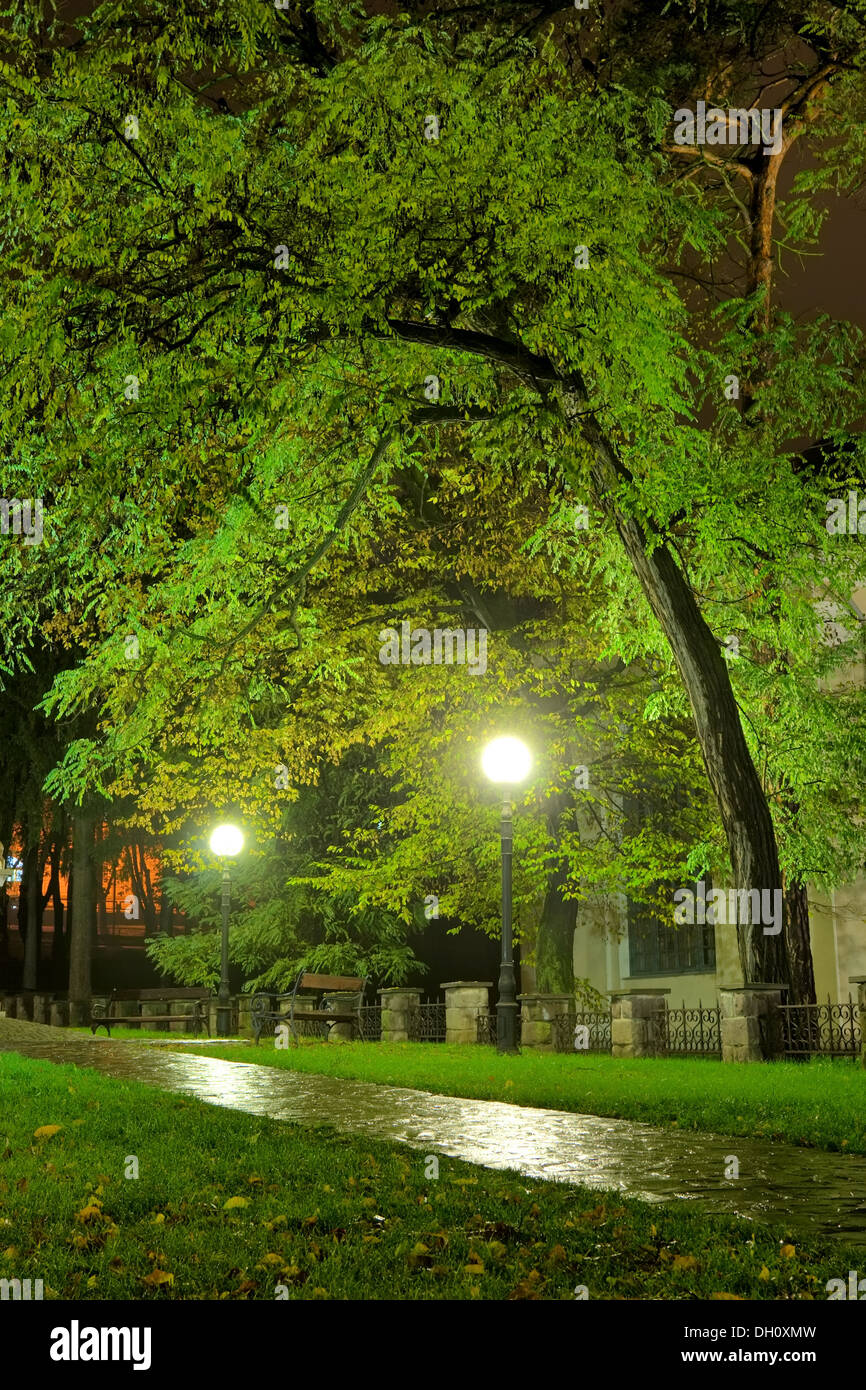 Park view in the night after the rain - HDR Stock Photo - Alamy