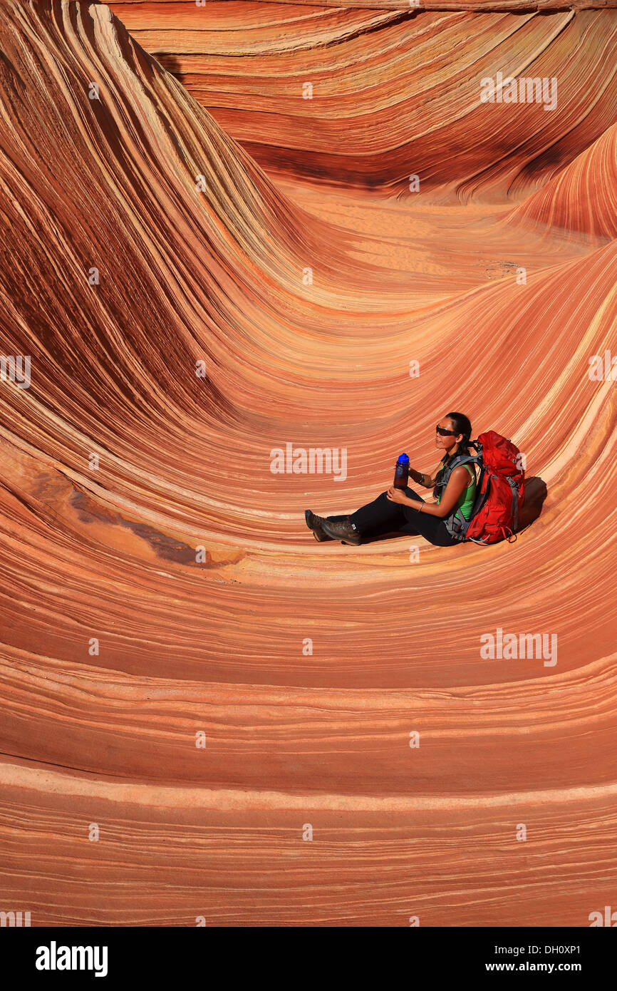 The amazing sandstone formations THE WAVE in northern Arizona, USA ...