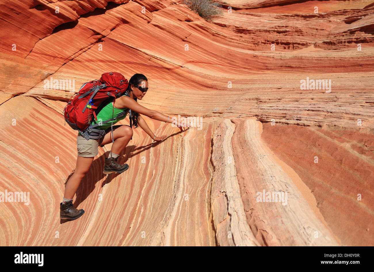 The amazing sandstone formations THE WAVE in northern Arizona, USA ...