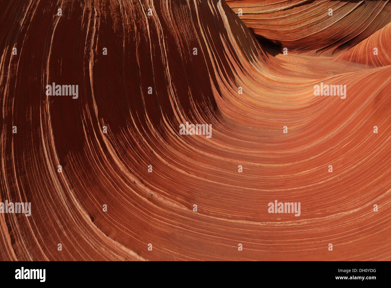 The amazing sandstone formations THE WAVE in northern Arizona, USA ...