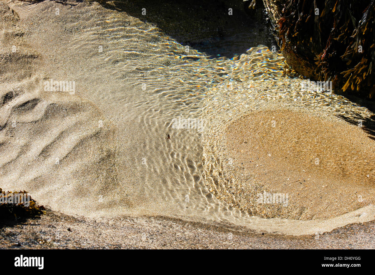 Acadia national park sand beach hi-res stock photography and images - Alamy