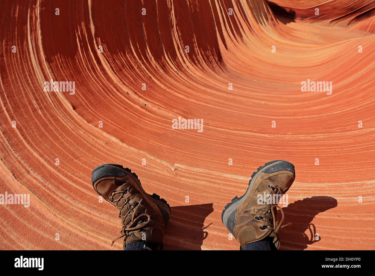 The amazing sandstone formations THE WAVE in northern Arizona, USA ...