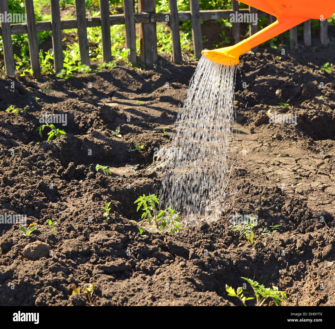 Watering lawn spray can hi-res stock photography and images - Alamy