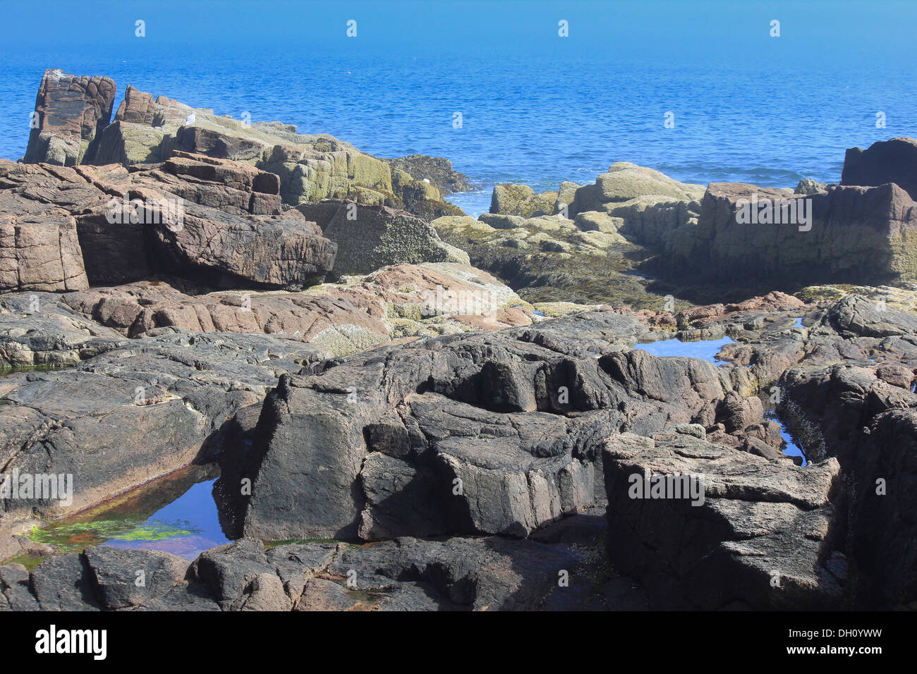 Small pools in granite cliffs, Acadia National Park, Bar Harbor, Maine ...