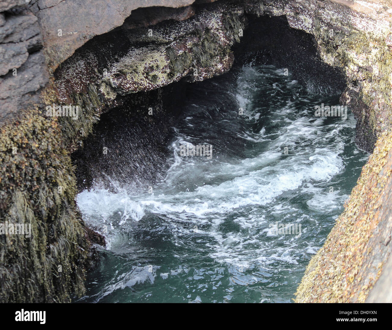 Thunder Hole, Acadia National Park, Bar Harbor, Maine Stock Photo - Alamy