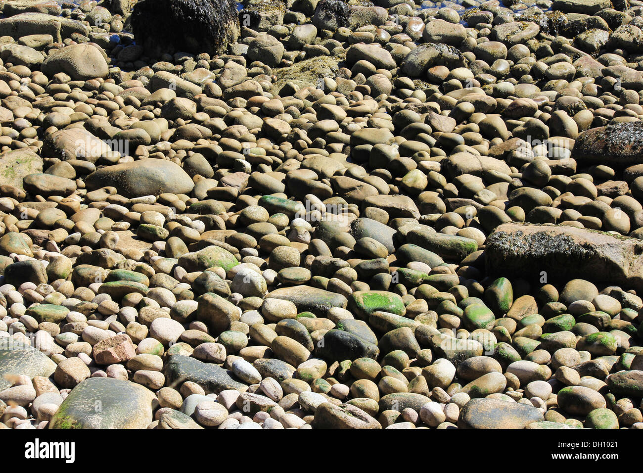 Acadia shoreline hi-res stock photography and images - Alamy