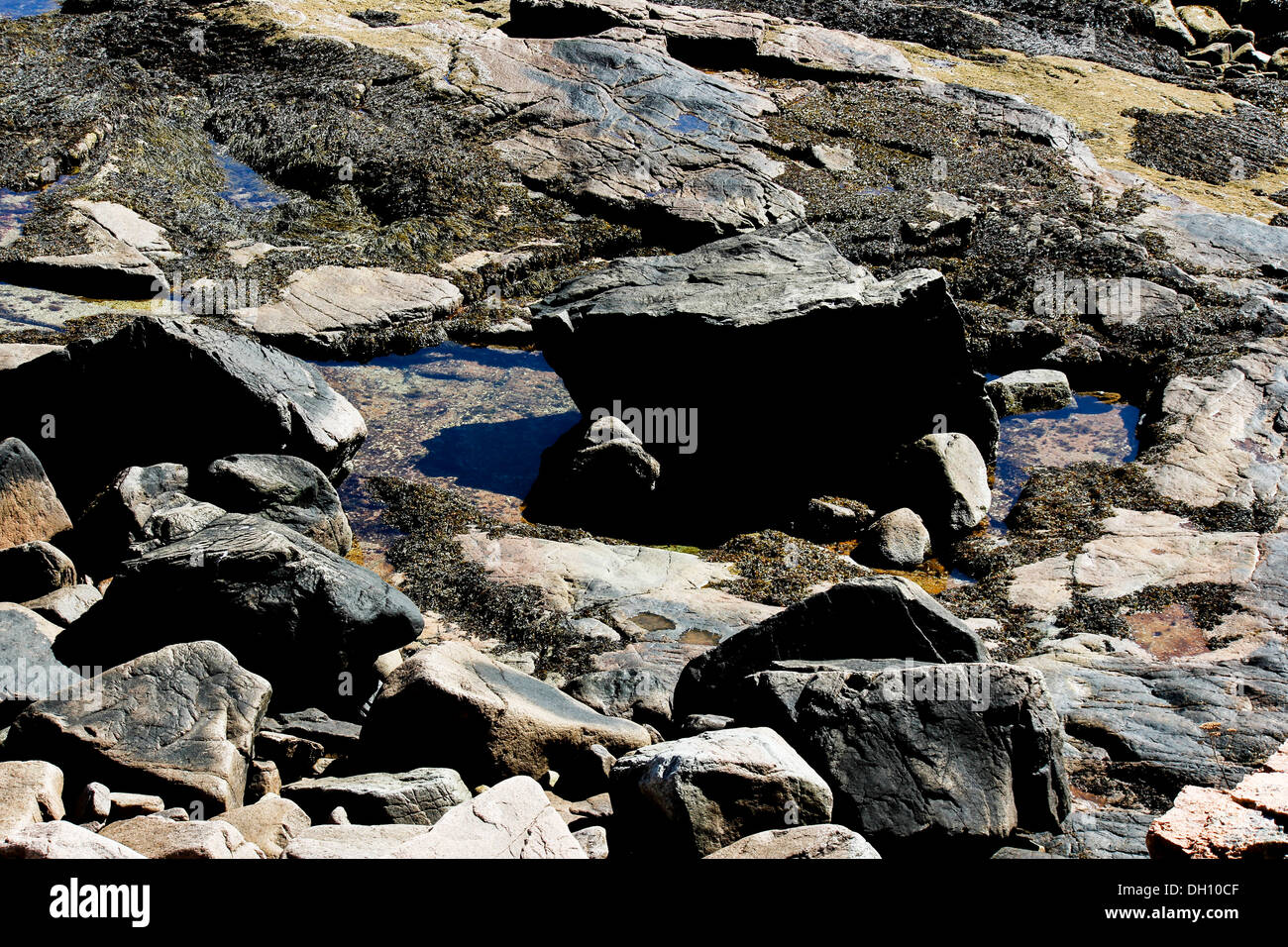 Tidal pools among shoreline rocks, Acadia National Park, Bar Harbor ...