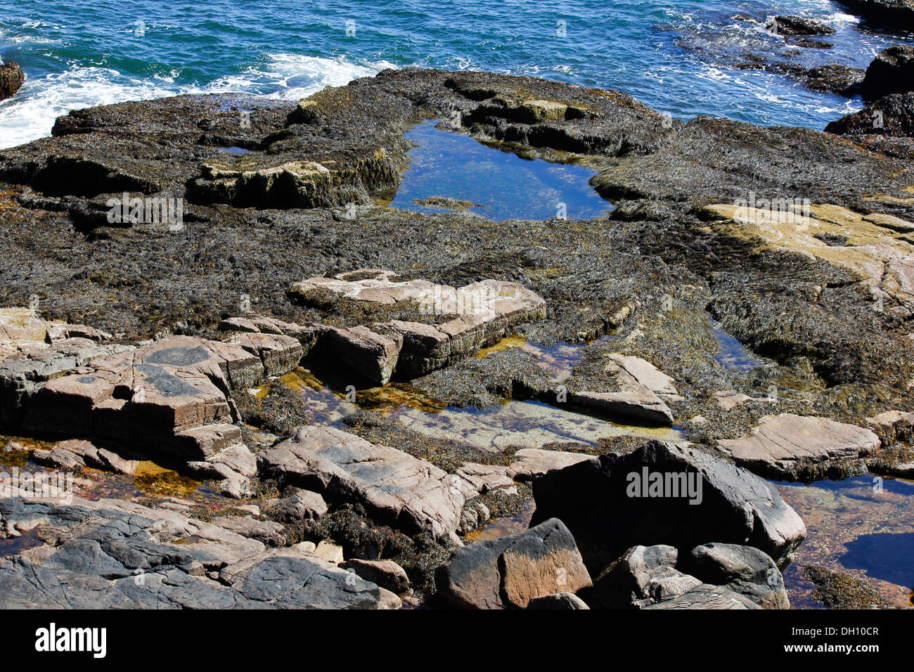 Tidal pools among shoreline rocks, Acadia National Park, Bar Harbor ...