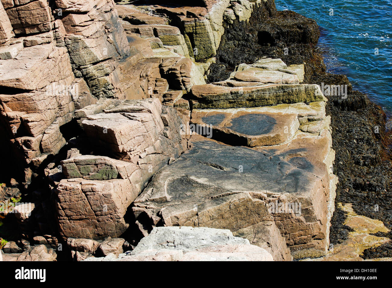 Granite cliffs, Acadia National Park, Bar Harbor, Maine Stock Photo - Alamy