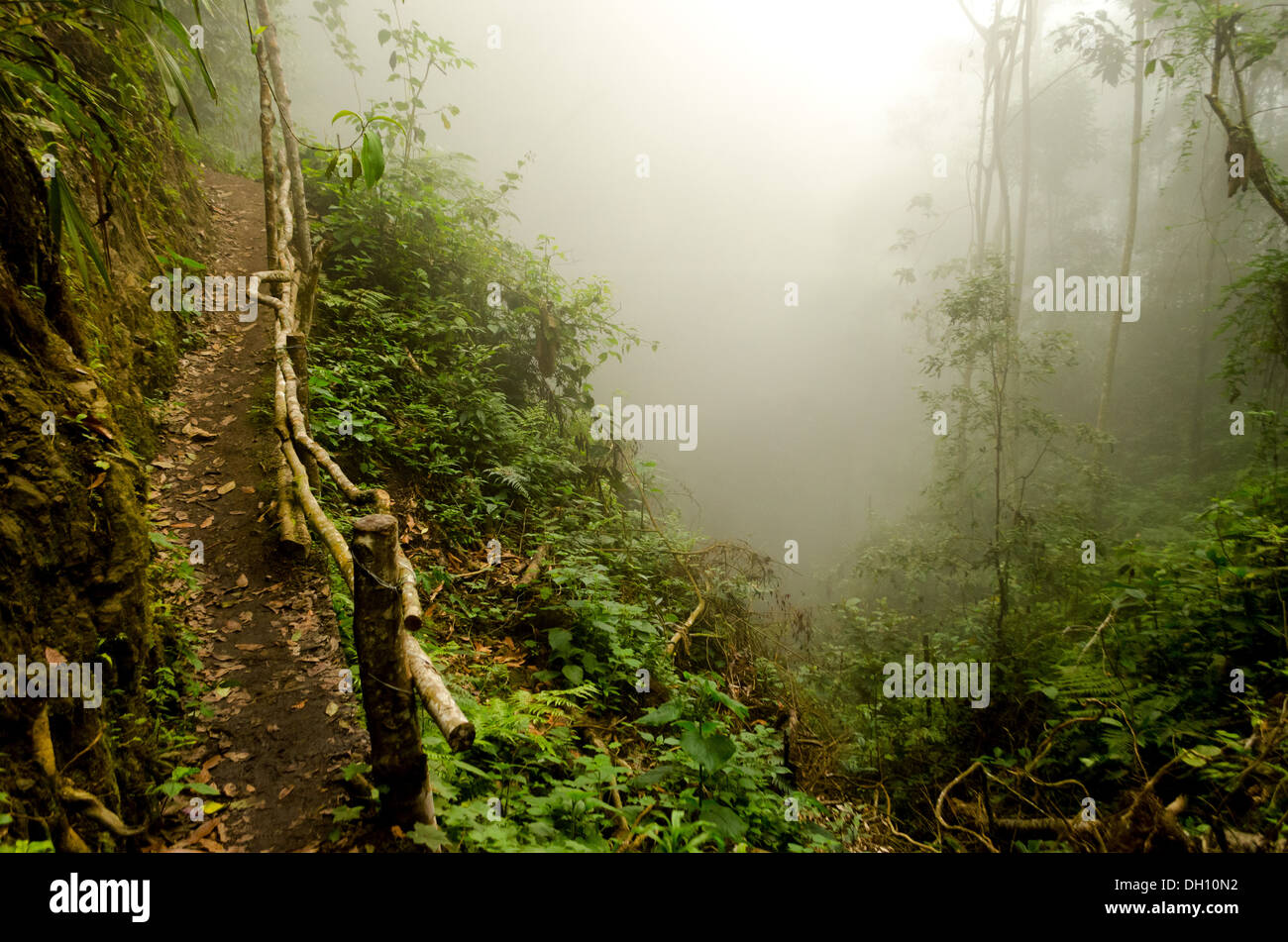 Native siberia hi-res stock photography and images - Alamy