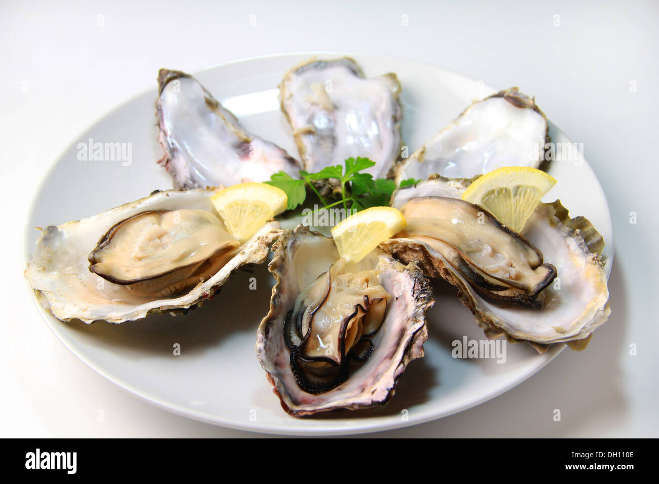 Japanese oyster or miyagi oyster hi-res stock photography and images ...