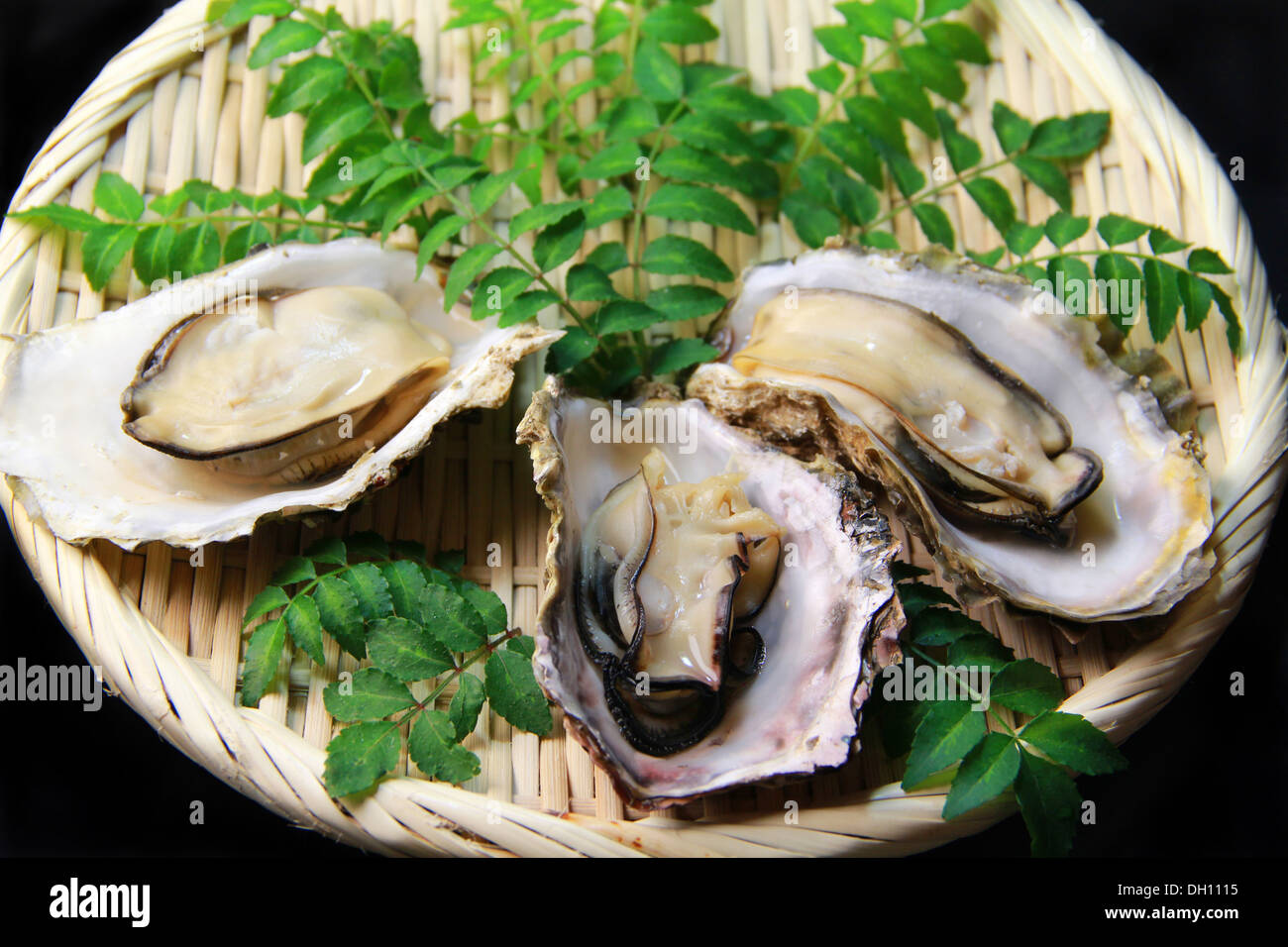 Japanese oyster or miyagi oyster hi-res stock photography and images ...